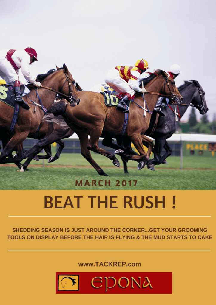 Graphics Creation Workshop - Enroll Now - Renew - ThriveCart - Graphics ...